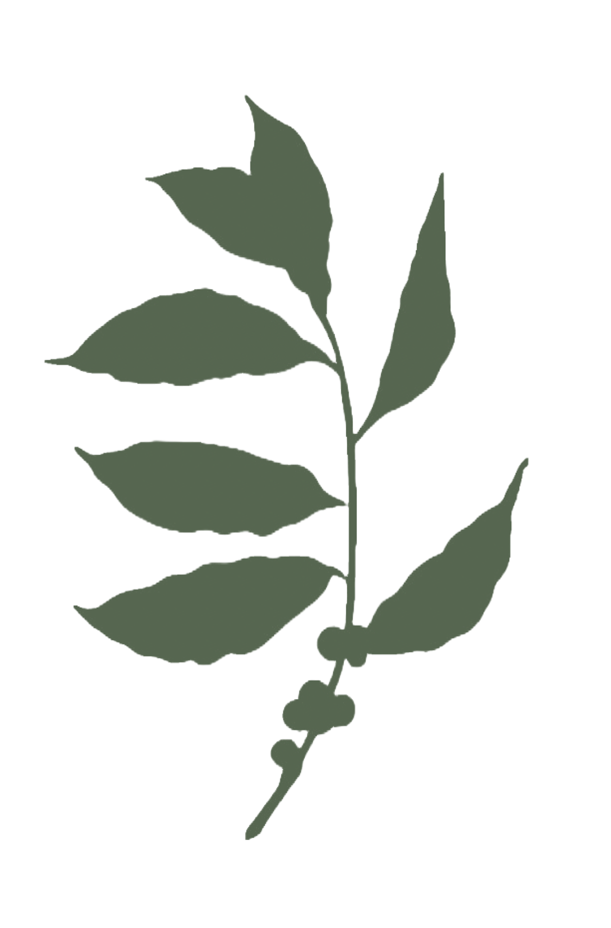 Neutral Grounds logo